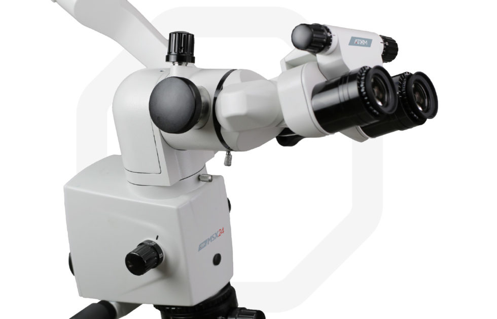 MSX24 - Atom Workflow